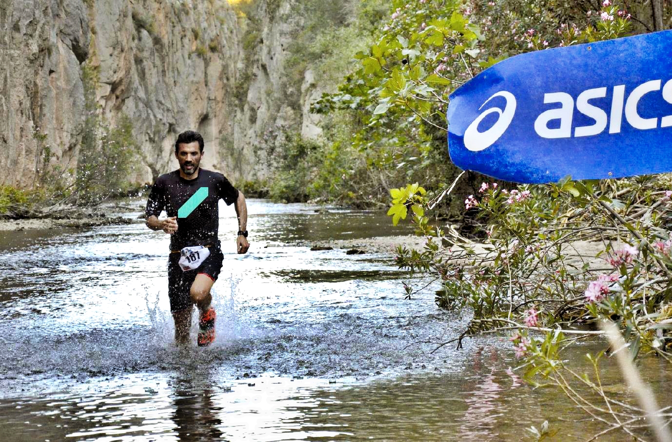 EQUIPO Y COLABORADORES